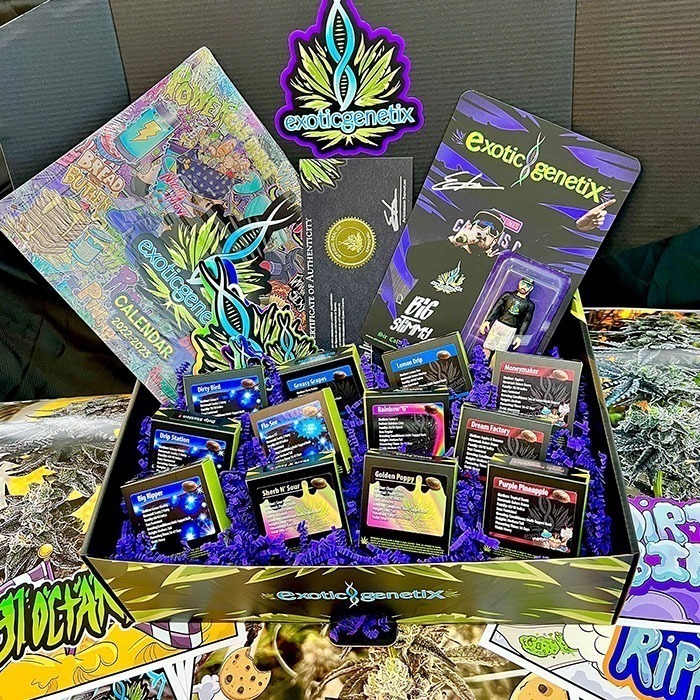 Exotic Genetix Action Figure Box – Exotic Genetix