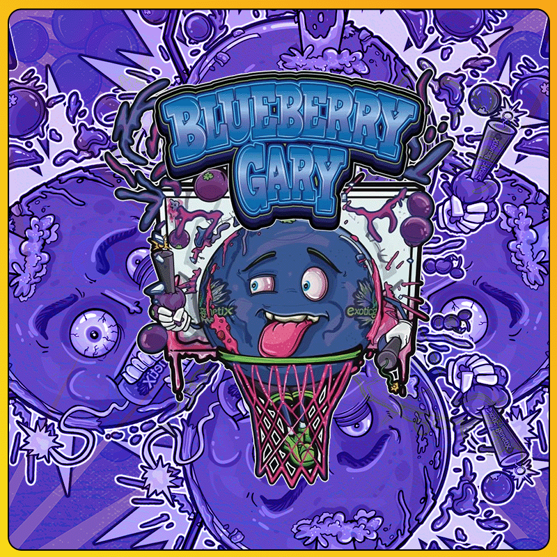 Blueberry Gary – Exotic Genetix