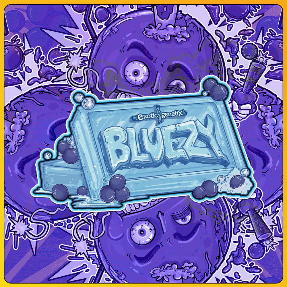 Bluezy – Exotic Genetix