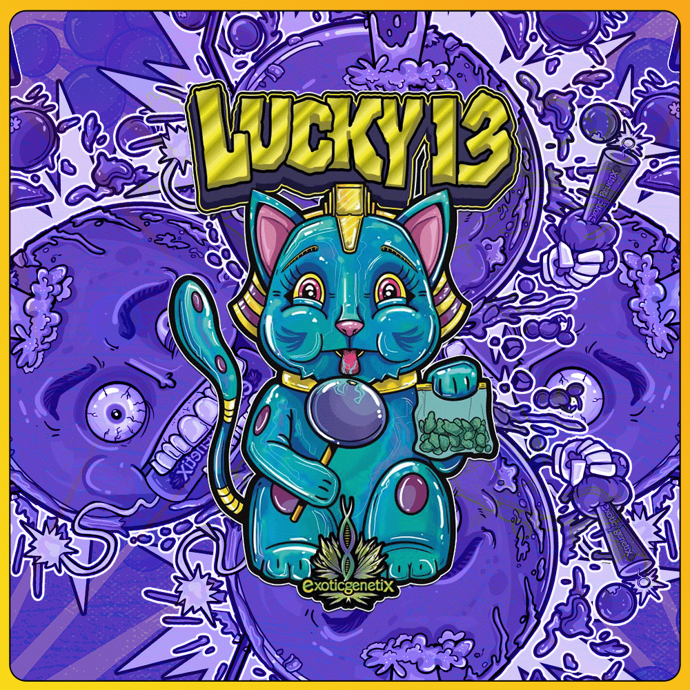 Lucky 13 – Exotic Genetix