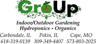 Seeds – Exotic Genetix